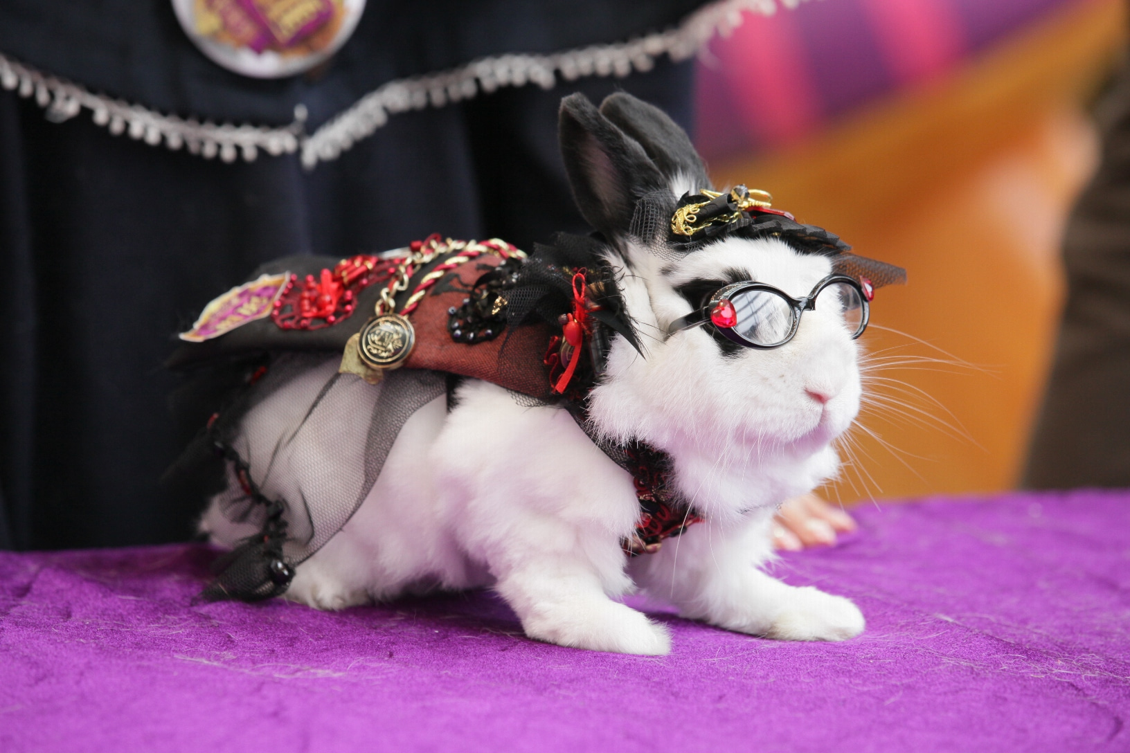 Rabbits in costume at Easter Bunny Fashion Show at Lok Fu Plaza | Link