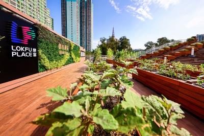 Lok Fu Place Launches the “Herbal Harvest” Campaign: The Only Shopping ...