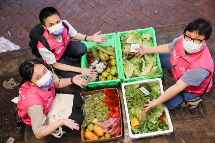 Link Supports NGOs to Rebuild and Strengthen Social Ties