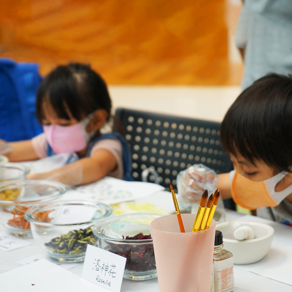 Naturally Colourful Painting Workshop